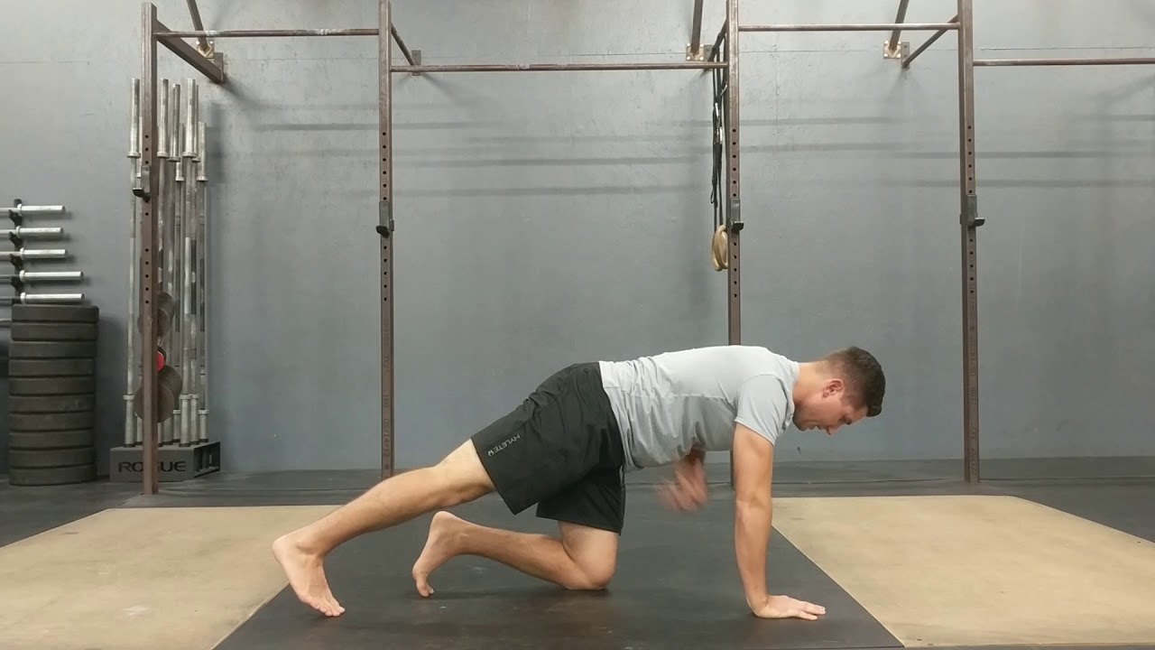 Quadruped Hip Rotation - Knee Extended - YouTube