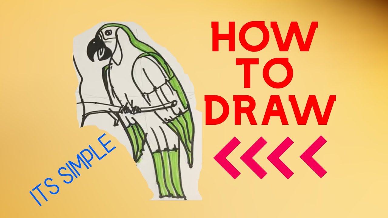 How to Draw a Parot like a pro! Bird draw easy! - YouTube