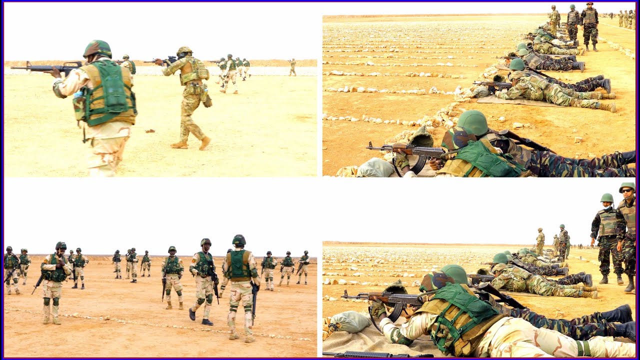 African Lion 2021: Senegal Soldiers engage targets a rifle range - YouTube