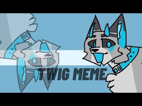 twig || animation meme || PRIZE || flash warning || flipaclip - YouTube