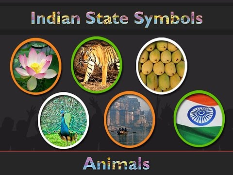 Indian State Symbols-Animals - YouTube