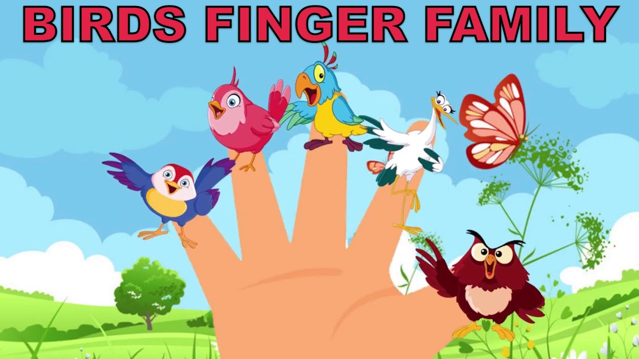🦜 Bird Finger Family Song 🦉 Daddy Finger Songs 🦩 Nursery Rhymes for ...