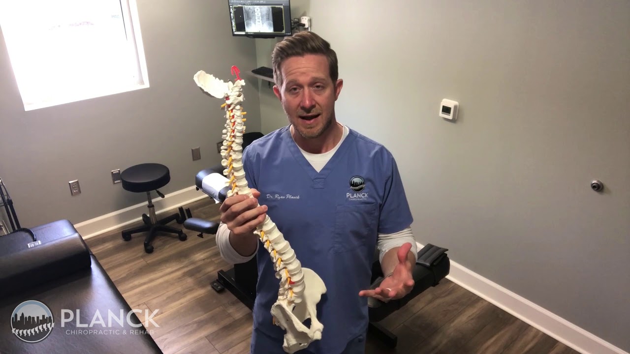 Flexion Distraction: Explained - Part 1 - YouTube