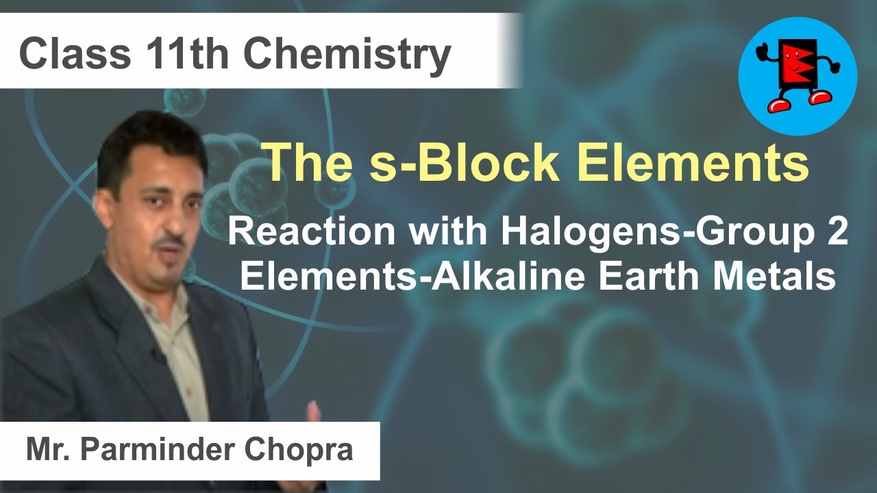 CBSE Class 11 Chemistry s-Block Elements Reaction with Halogens-Group 2 ...