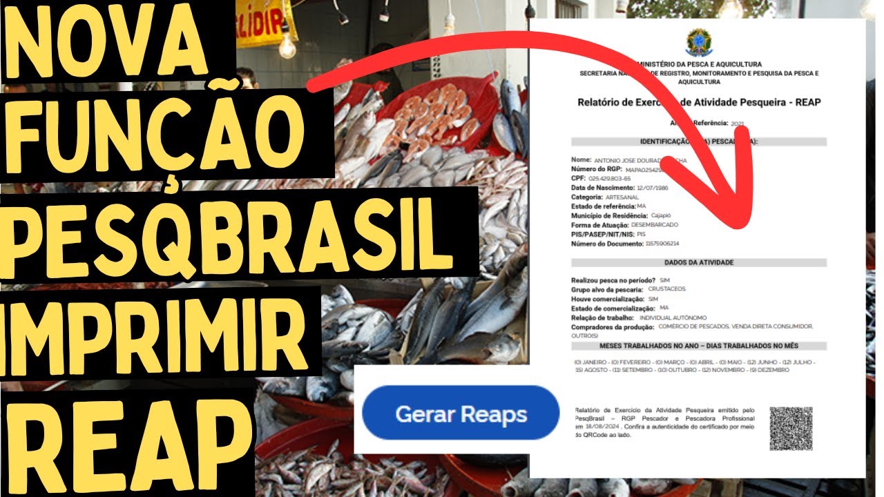 COMO IMPRIMIR GERAR O REAP - YouTube