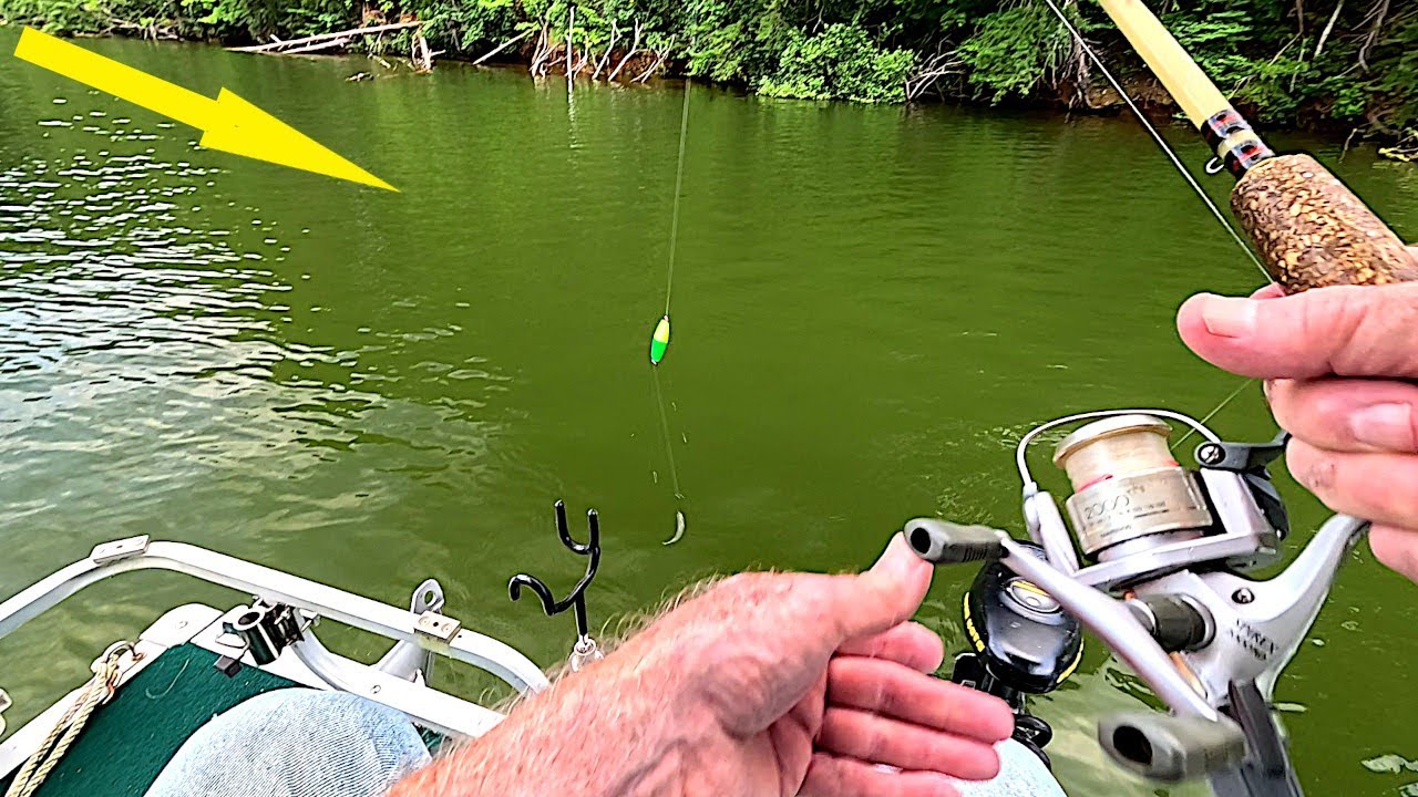 I Dangled A Live Minnow Under A Float In Over A School Of Fish - YouTube