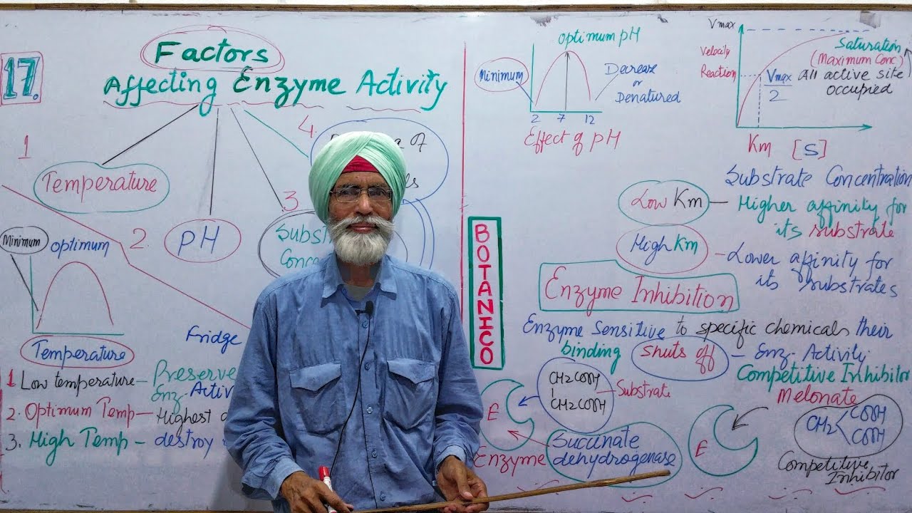 CH-9 : Biomolecules| Factors Affecting Enzymes Activity | Class 11 ...
