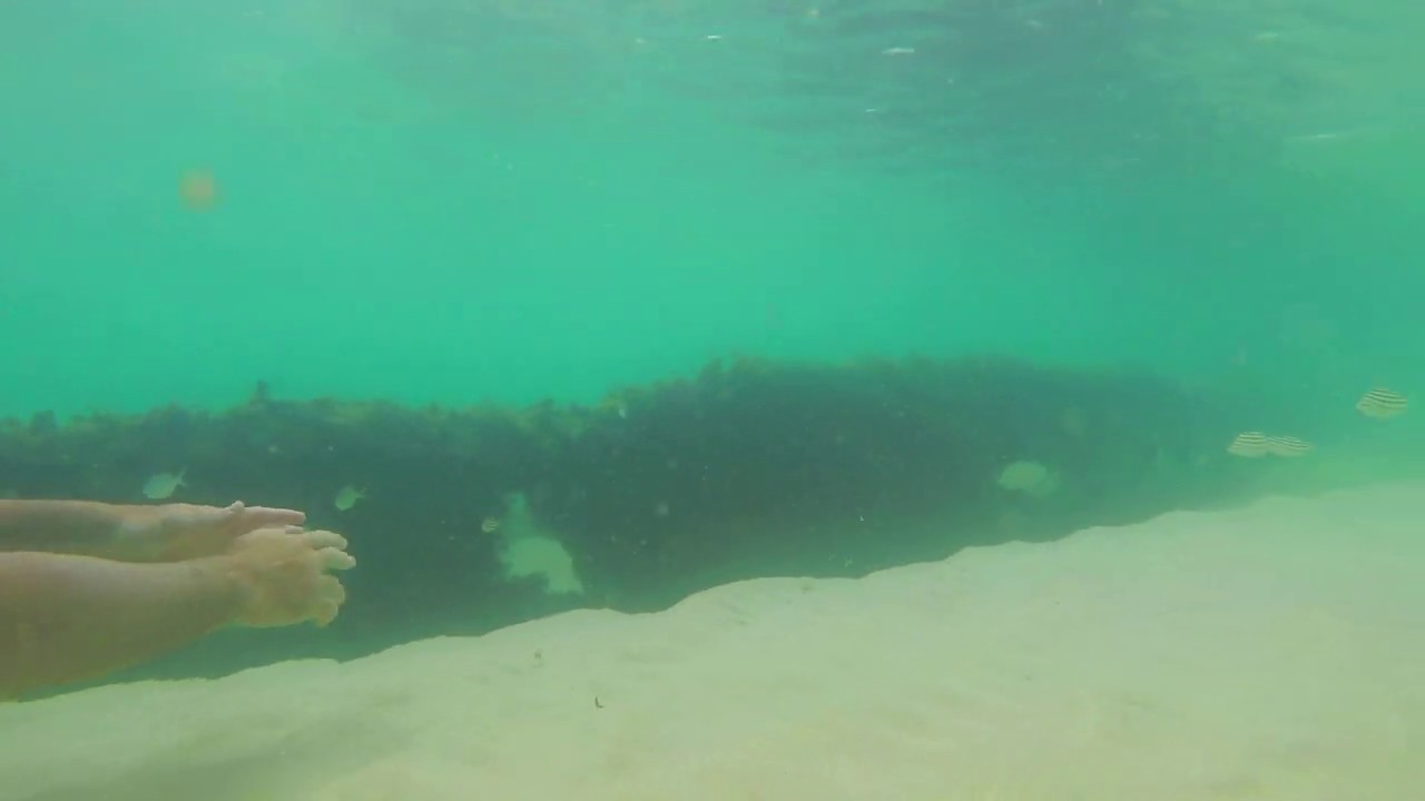 BULWER WRECKS (SWIMMING) - YouTube