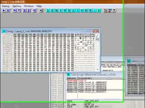 Ollydbg Tutorial #6 - YouTube