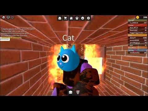 Connection Terminated - YouTube