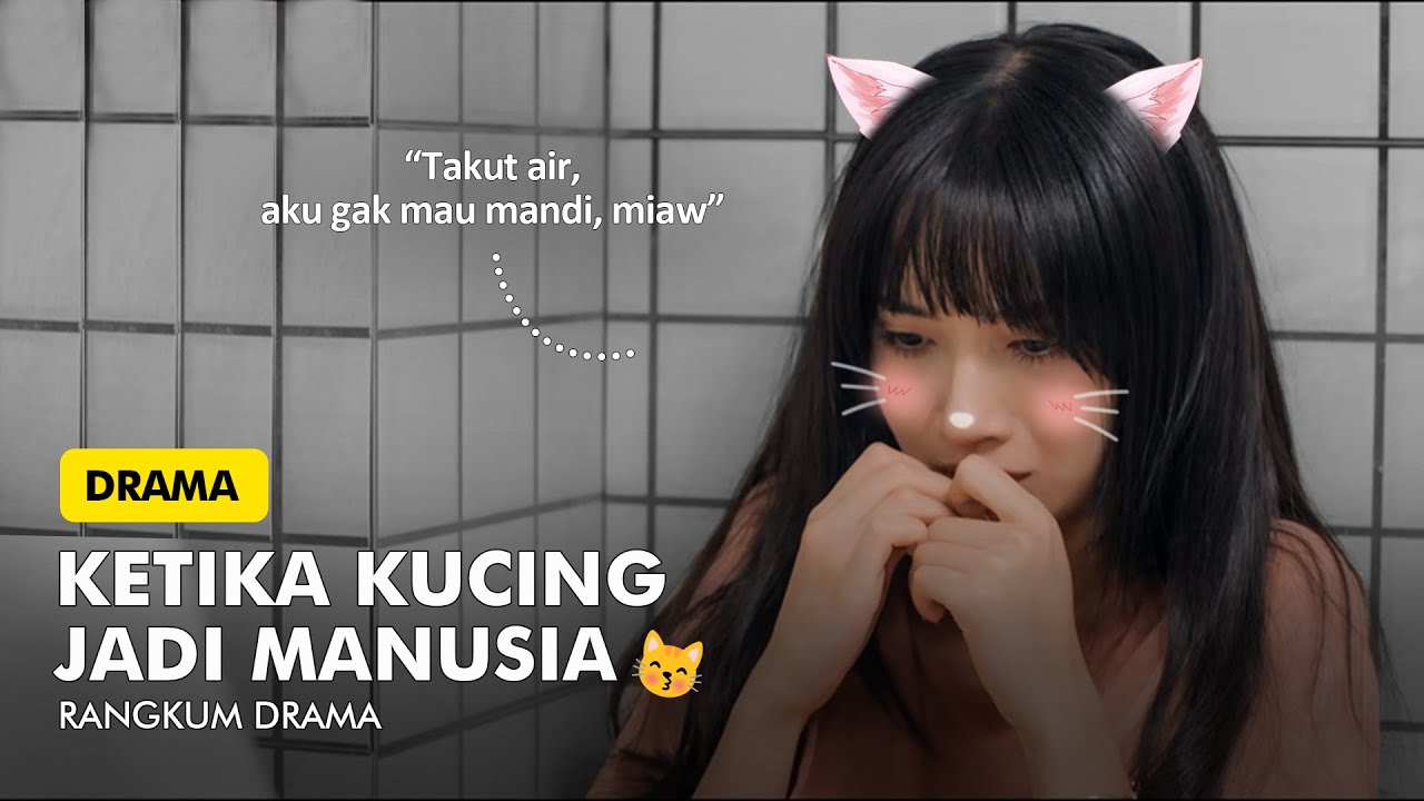 KISAH MANUSIA KUCING - YouTube
