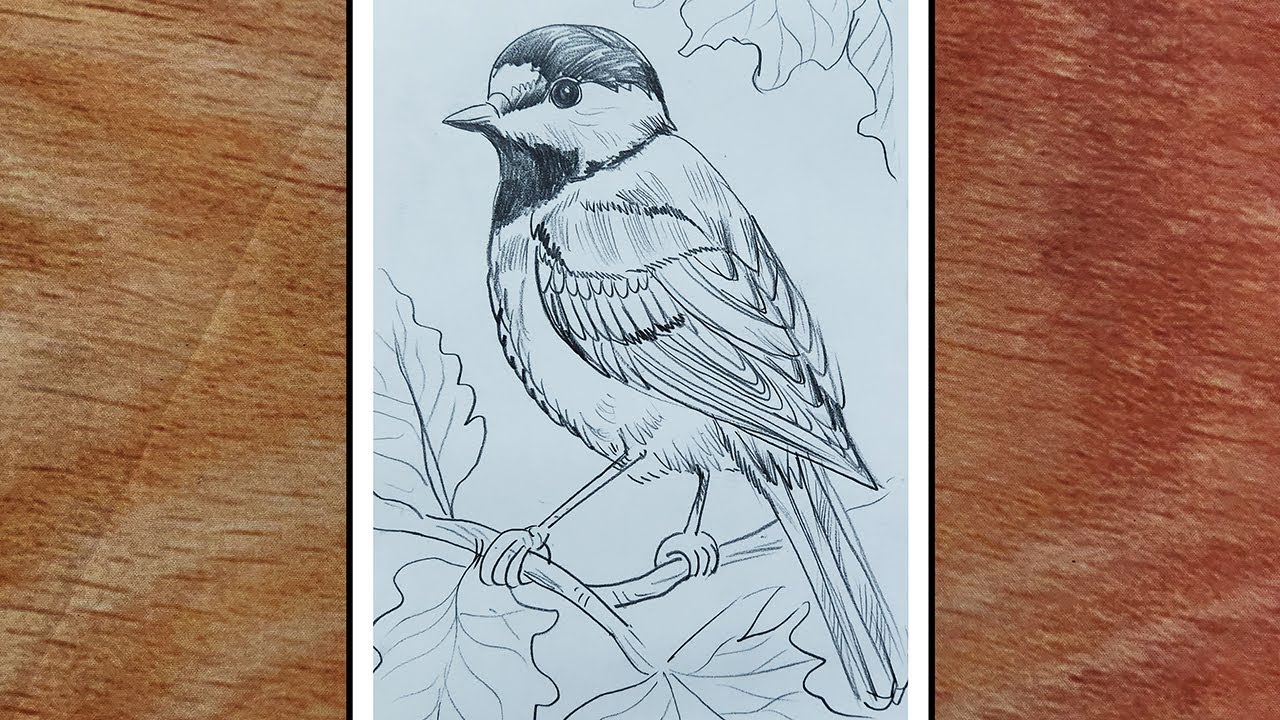 Simple Bird Drawing - Easy Pencil Sketch and Shading Tutorial #drawing ...