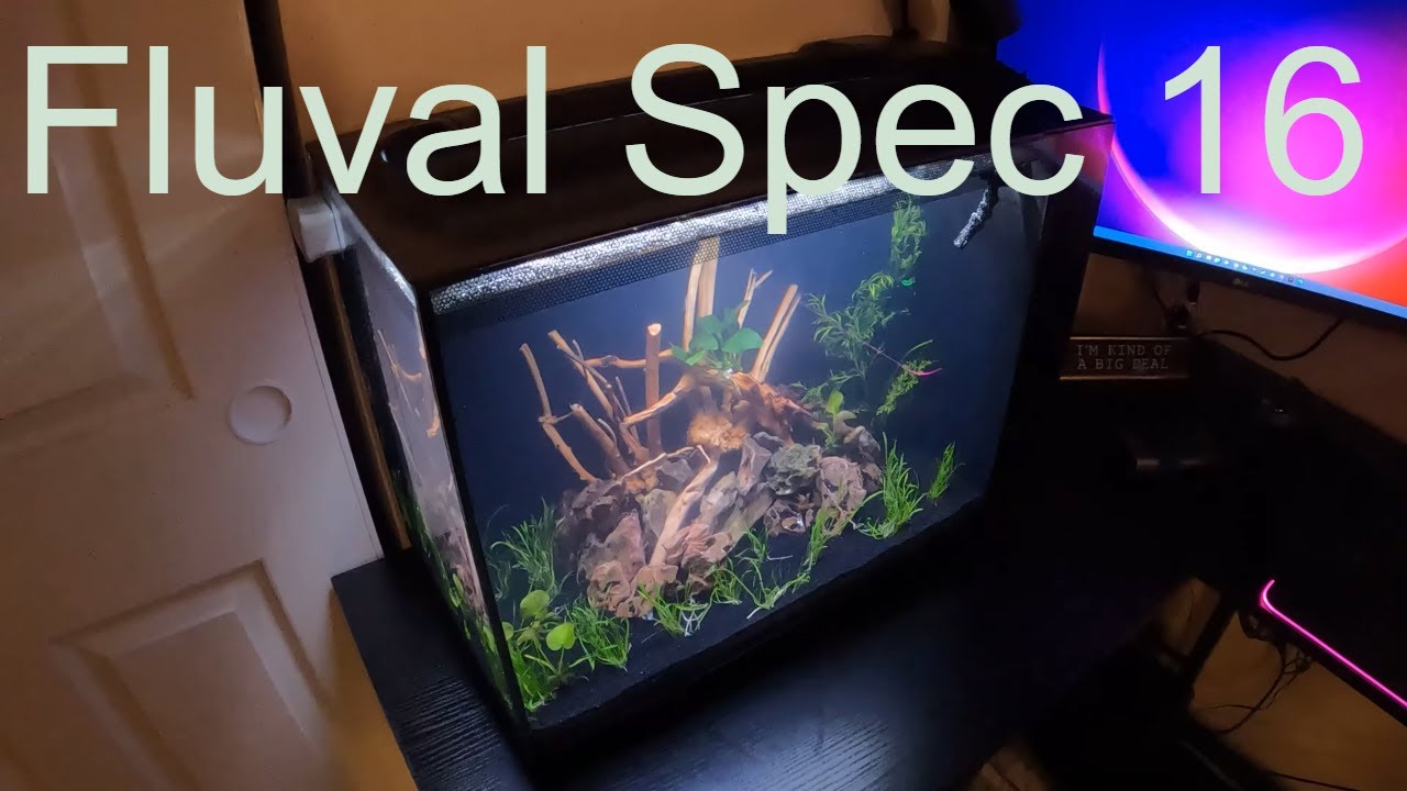 Fluval Spec 16 Review: The Ultimate Desk Tank! - YouTube