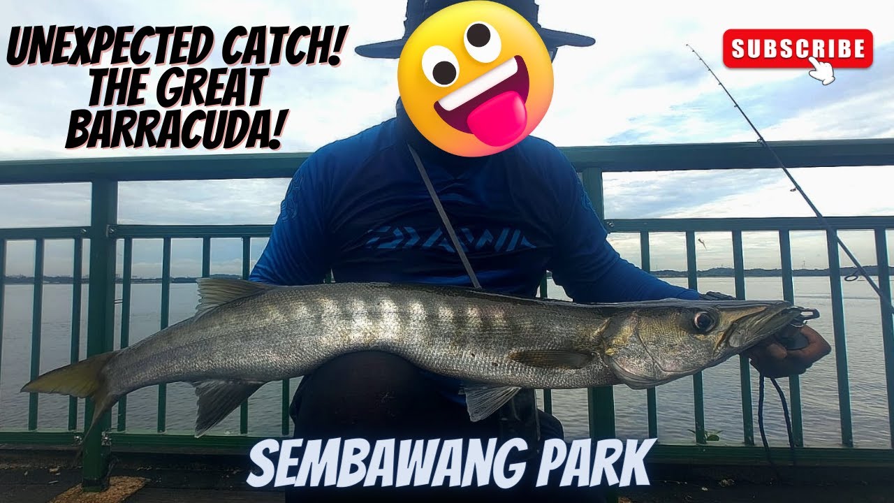Episode 11: The Great Barracuda! | Day 1 | Sembawang Park | Singapore ...