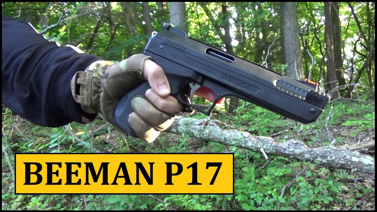 Beeman P17 Pellet Pistol ($40-50) Review - Budget Friendly Air Gun ...