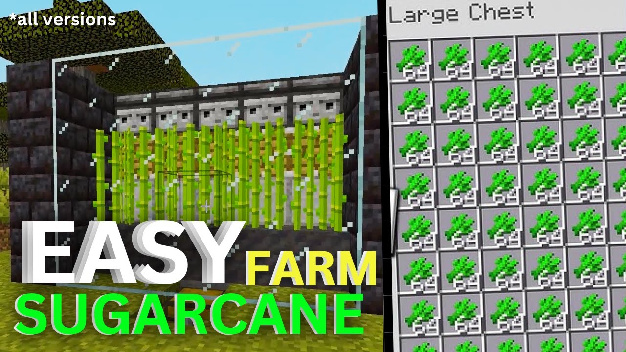 Minecraft: EASIEST Sugarcane Farm Tutorial (all versions) - YouTube