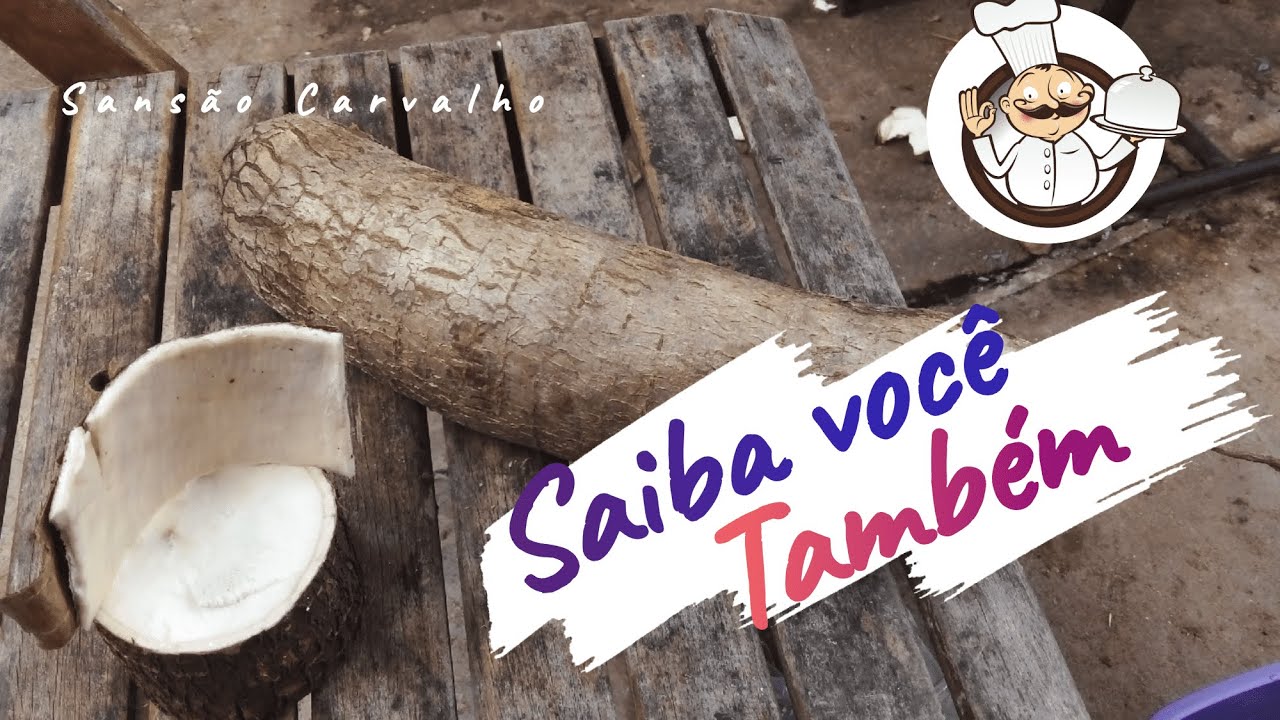 Saiba como diferenciar a Mandioca comestive da Brava (não comestiva ...