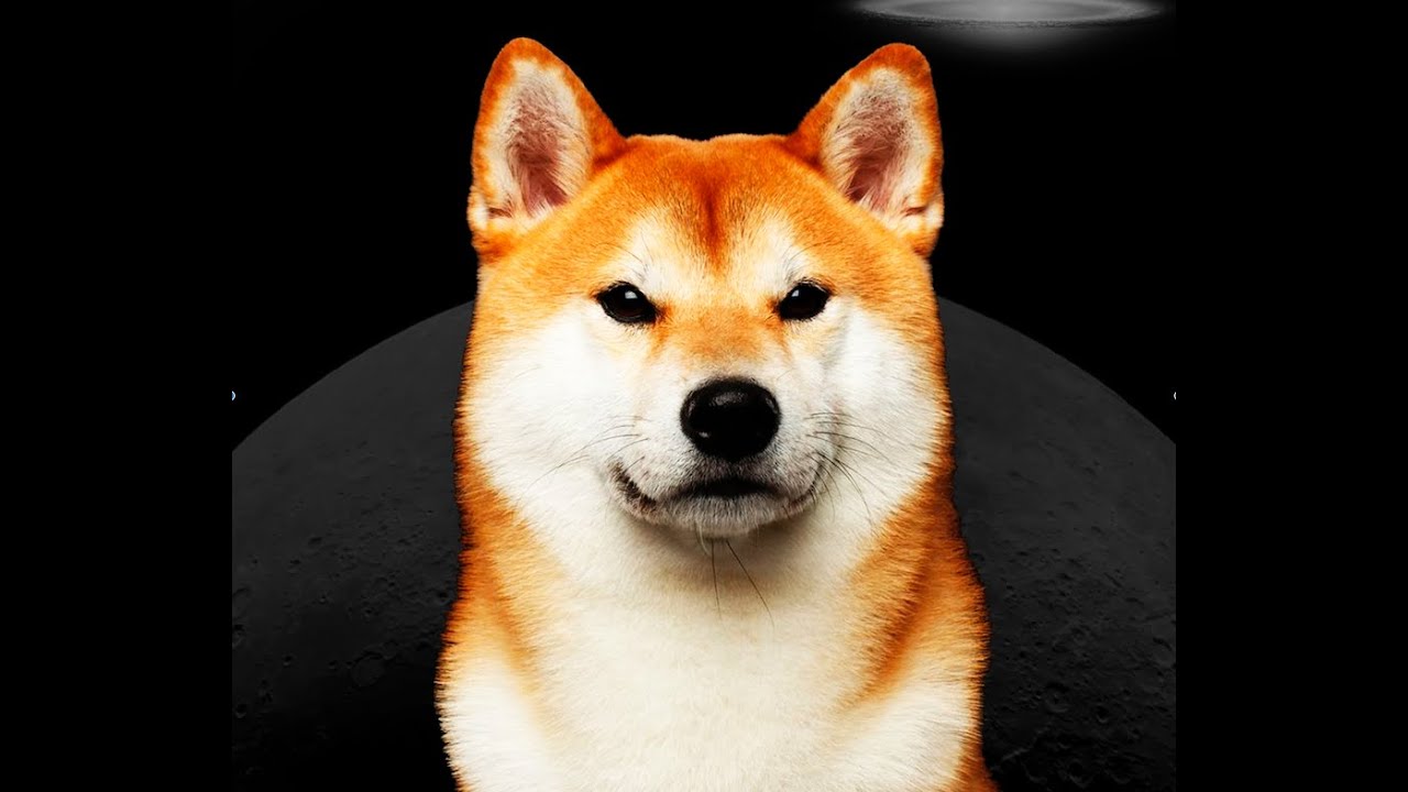 We Are ShibArmy vol3 Mixed by Ivan Picazo (Live from Milkshake ...