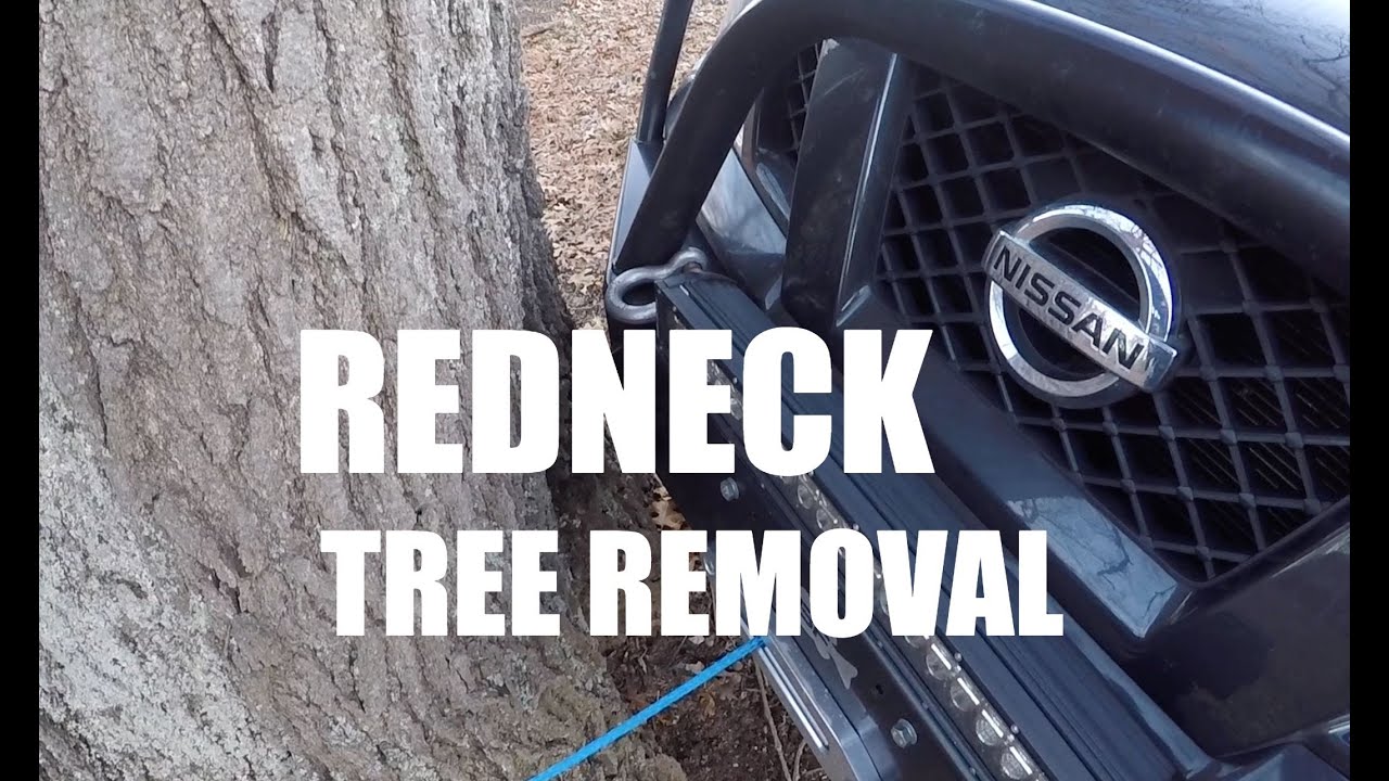 Redneck Tree Removal with a Woman Driving - YouTube