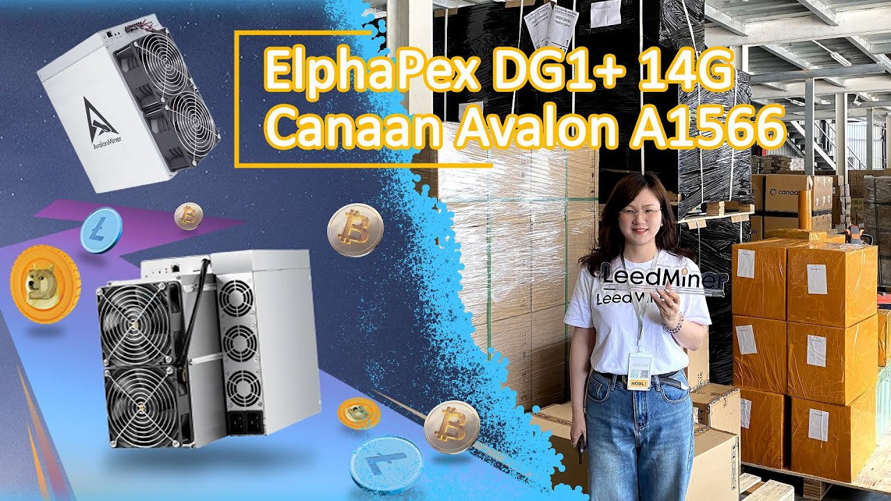 ElphaPex DG1+ 14G & Avalon A1566 - YouTube