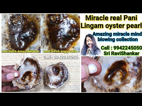 Miracle real Pani Lingam pearl. - YouTube