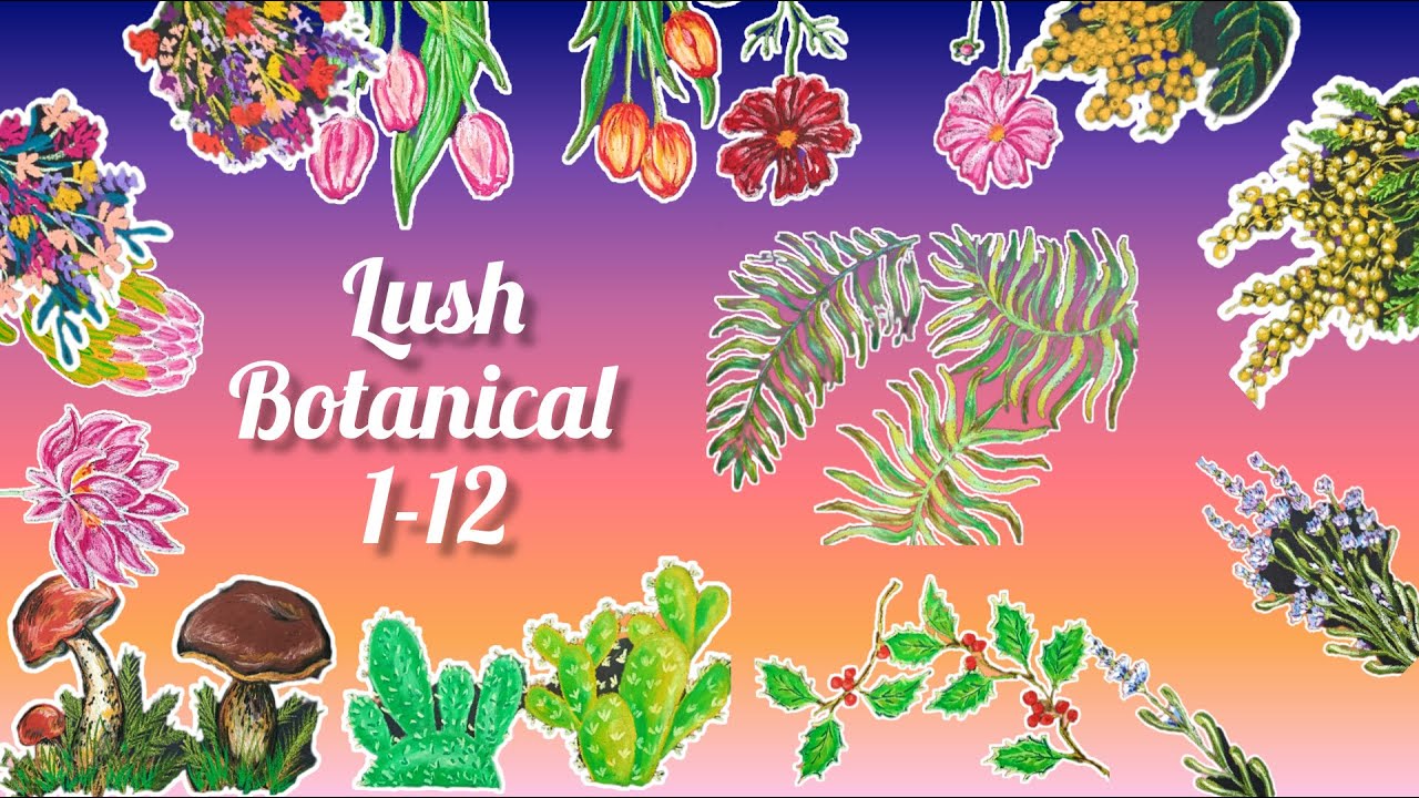 Lush Botanicals compilation (speed paint 01-12) Oil Pastel Masterpieces ...