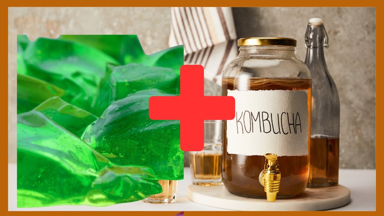 KOMBUCHA Jello Changed My Morning Routine Forever - YouTube