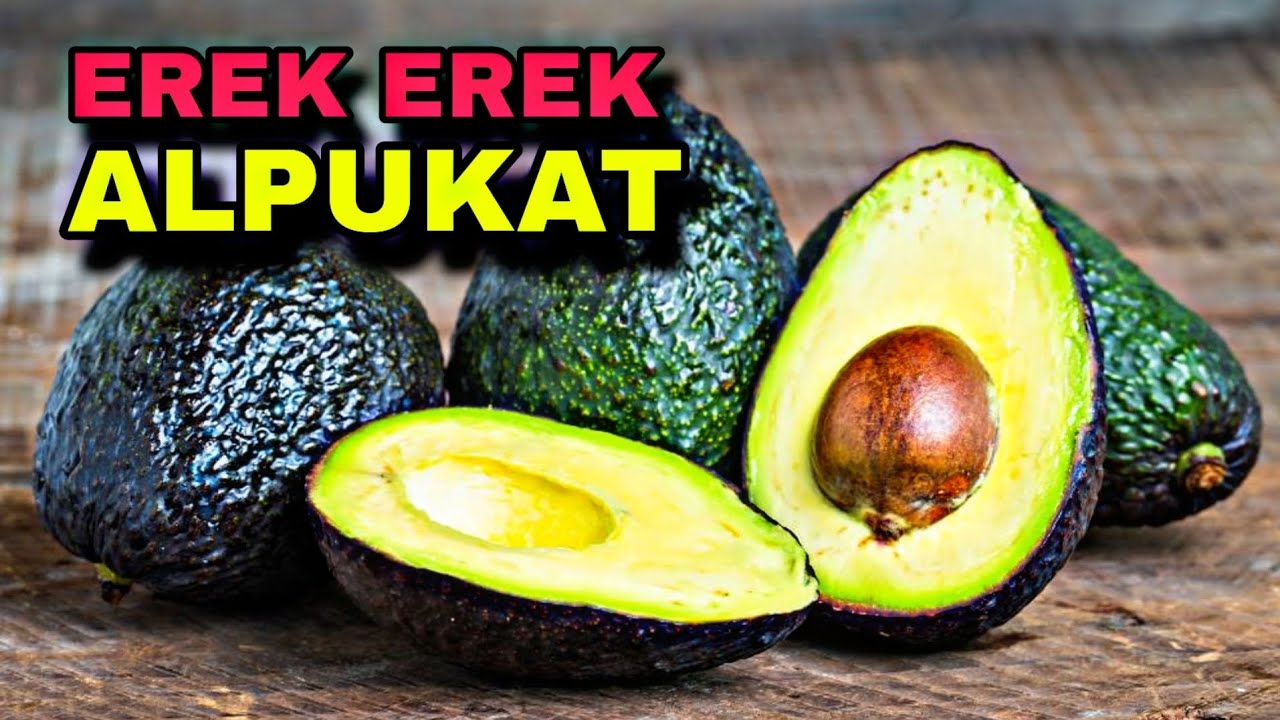 EREK EREK ALPUKAT 2D 3D 4D & ARTI MIMPI BUAH ALPUKAT - YouTube