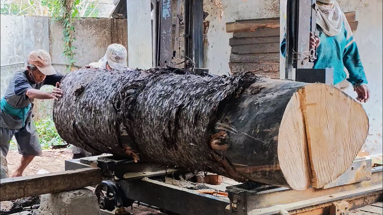 The process of processing spruce wood. - YouTube