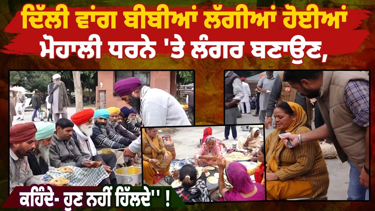 ਦਿੱਲੀ ਵਾਂਗ ਬੀਬੀਆਂ ਲੱਗੀਆਂ ਹੋਈਆਂ ਮੋਹਾਲੀ ਧਰਨੇ 'ਤੇ ਲੰਗਰ ਬਣਾਉਣ, ਕਹਿੰਦੇ- ਹੁਣ ...