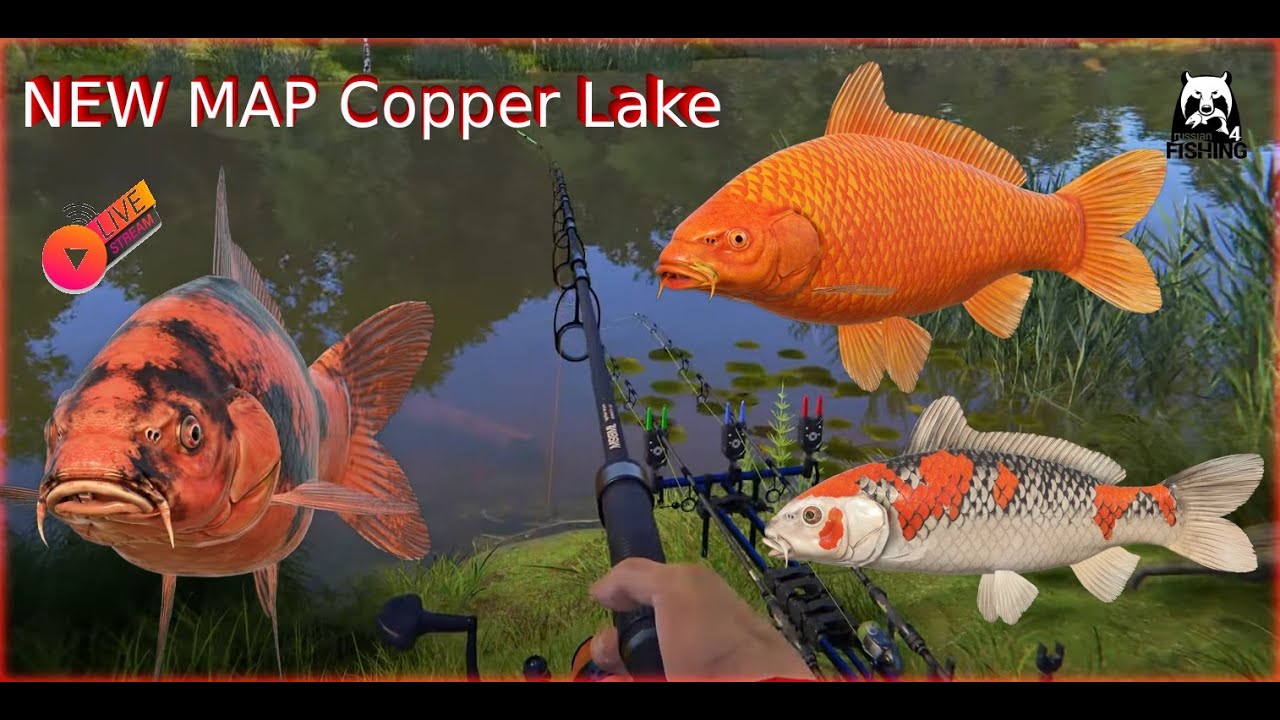 Russian Fishing 4 🐬New Copper Lake Map🐬 RF4 - YouTube