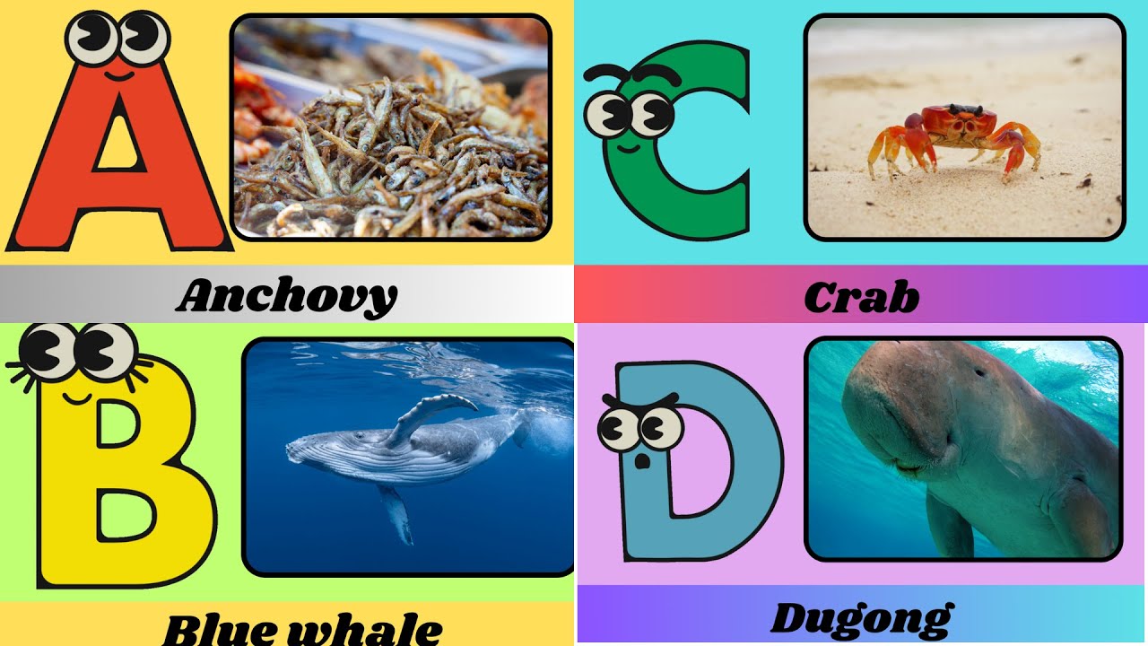 🐳🐠 ABC Rhyming with Sea Animals A to Z! 🌊🎶 | Fun Learning Kids# ...