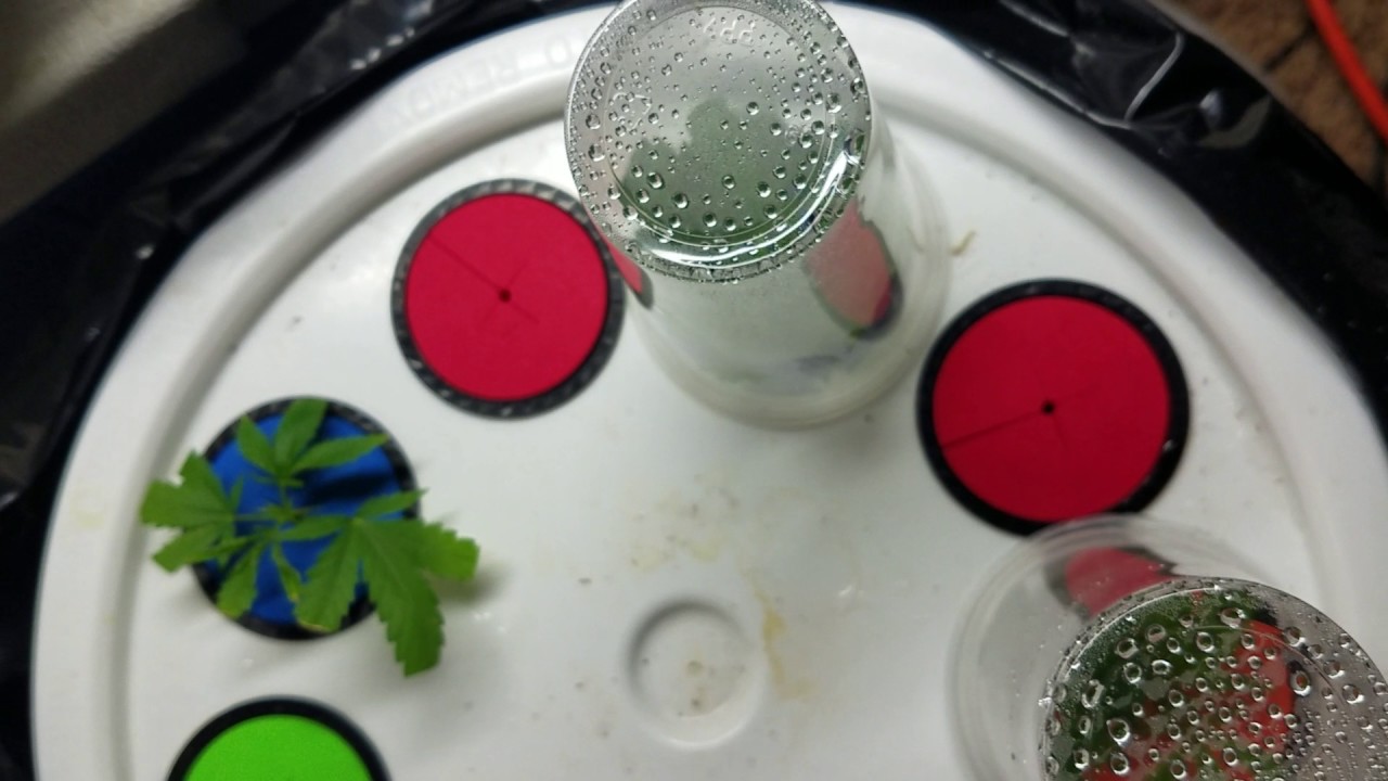 Diy cloner - YouTube