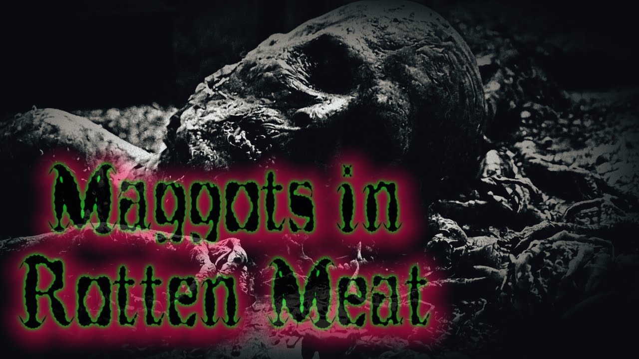 "Maggots in Rotten Meat || A Short Tune of Dark Ambient Music". - YouTube