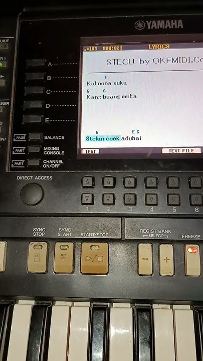 MIDI SONG STECU STECU - YouTube