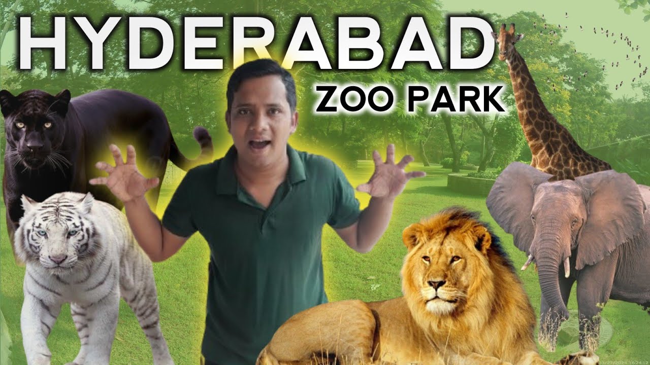 Nehru Zoological Park Hyderabad || Hyderabad ZooPark || Complete Tour ...