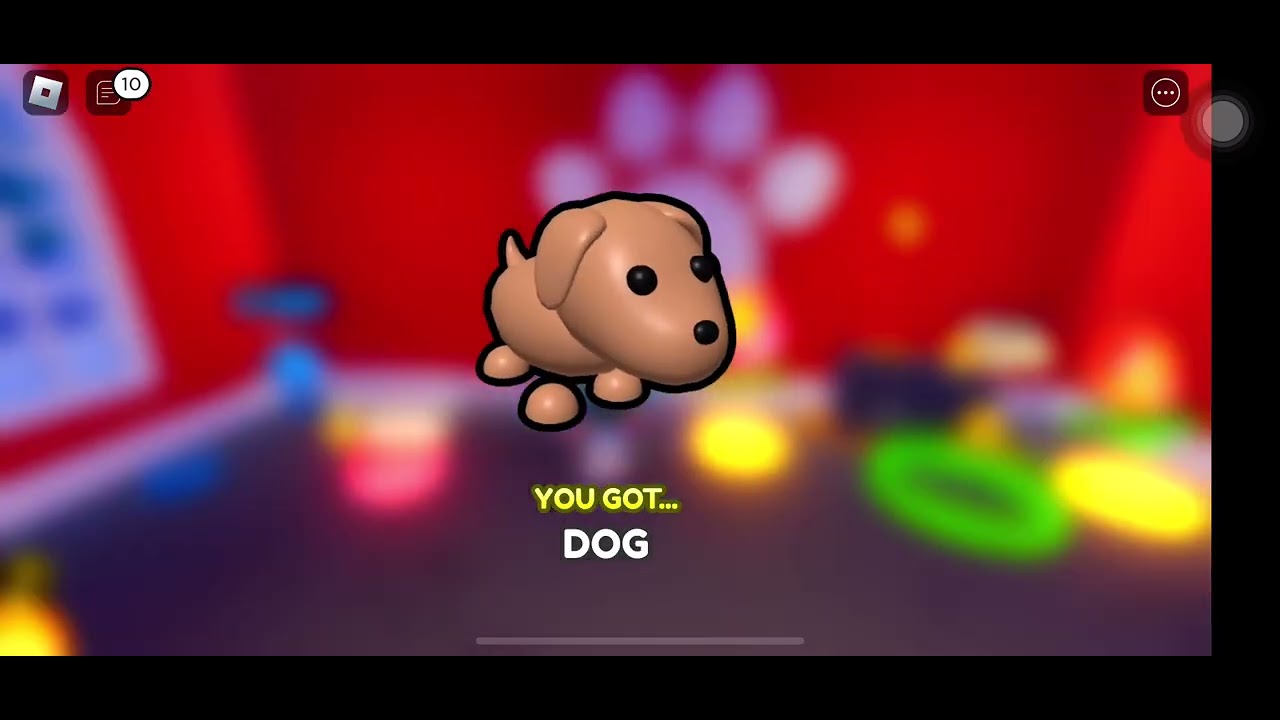 Roblox Pet Simulator - YouTube