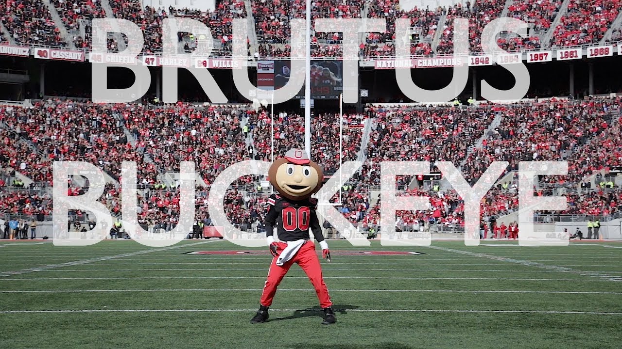 Brutus Buckeye Football