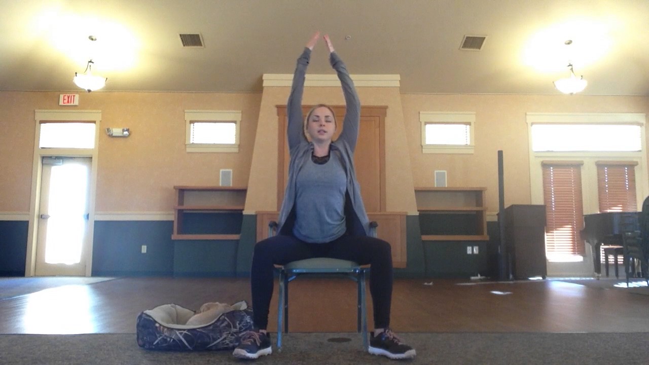 Chair Yoga - Full Body Stretch - YouTube
