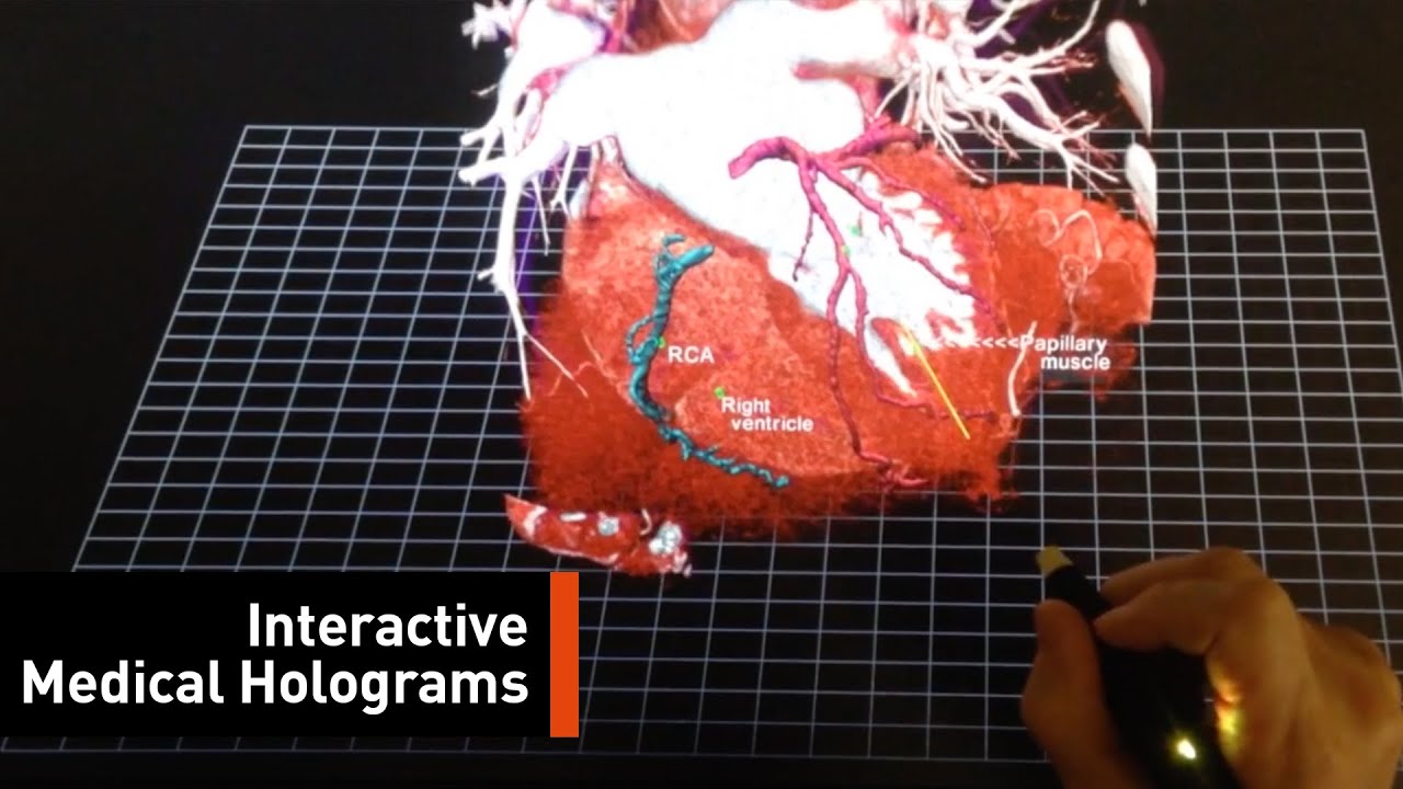 Virtual Organs - YouTube
