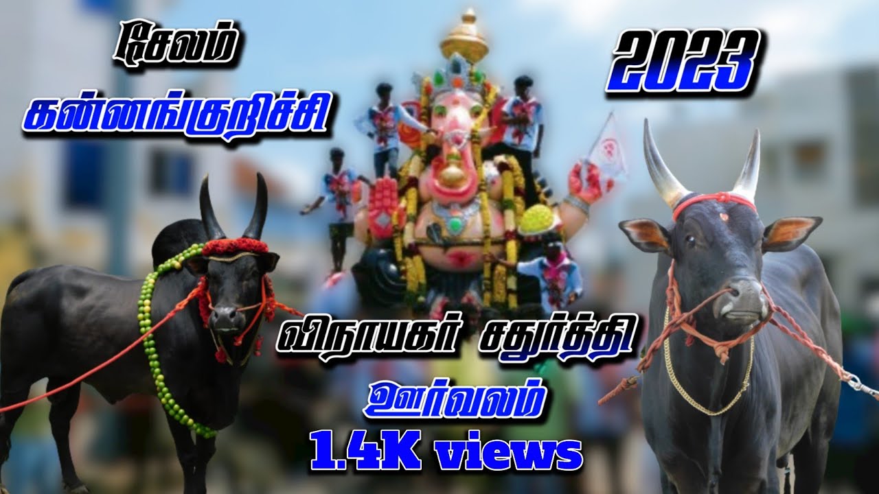 #SALEM#KANNANKURICHI#VINAYAGAR#FESTIVAL#2023#TN30_SALEM#காளையின்_காதலன் ...