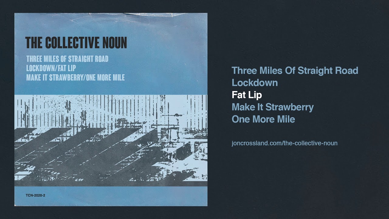 The Collective Noun - Fat Lip - YouTube