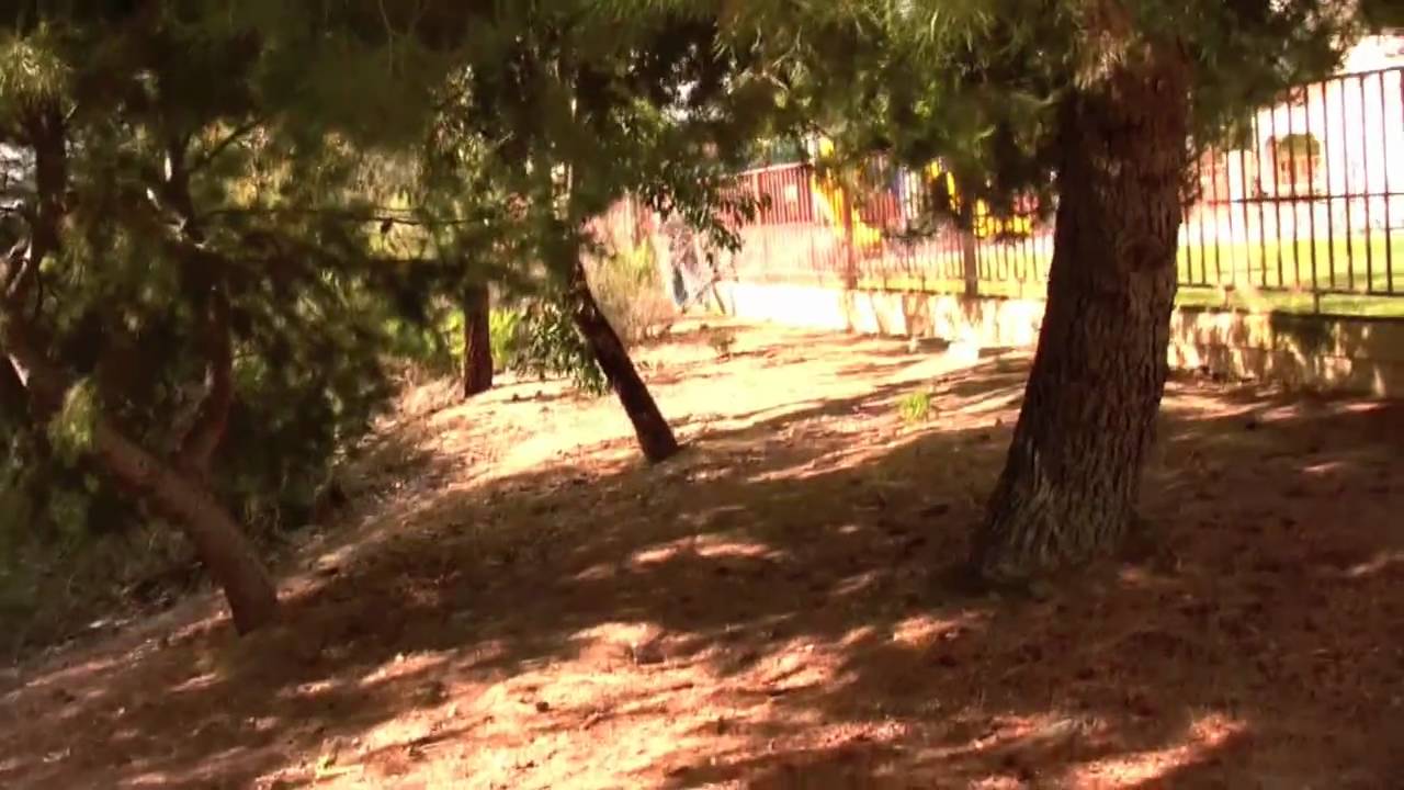 Agent 008 (Episode #1) - YouTube