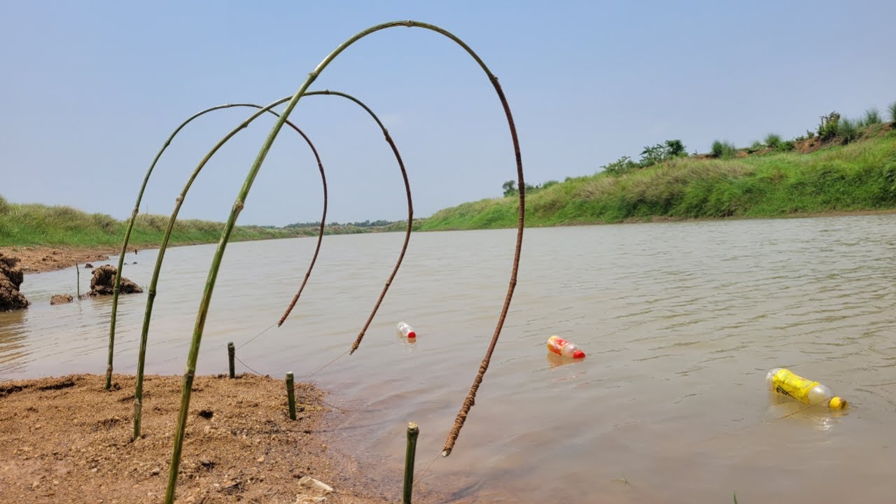 Amazing self fishing stick Hunting fish with floating bottle hook trap ...