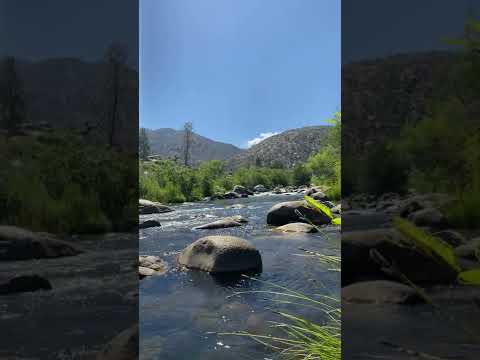 Laura’s Memorial Service - Any support helps.