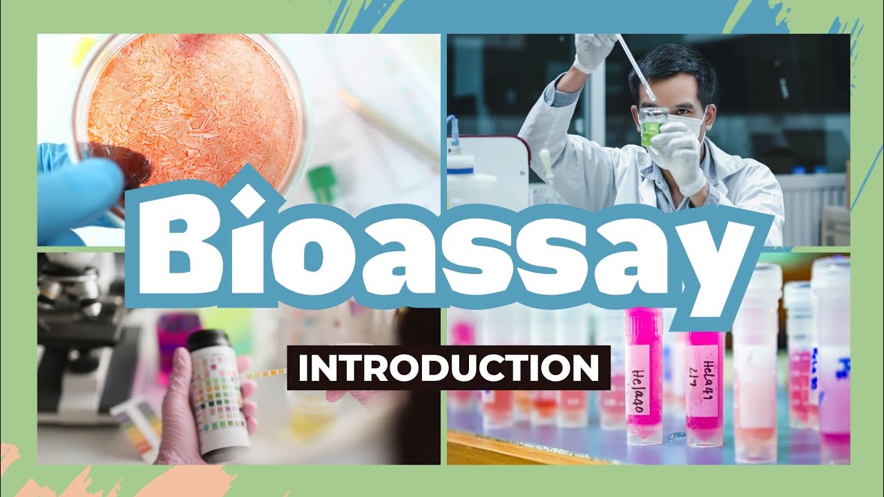 Bioassay | Biological standardization Preclinical Testing ...