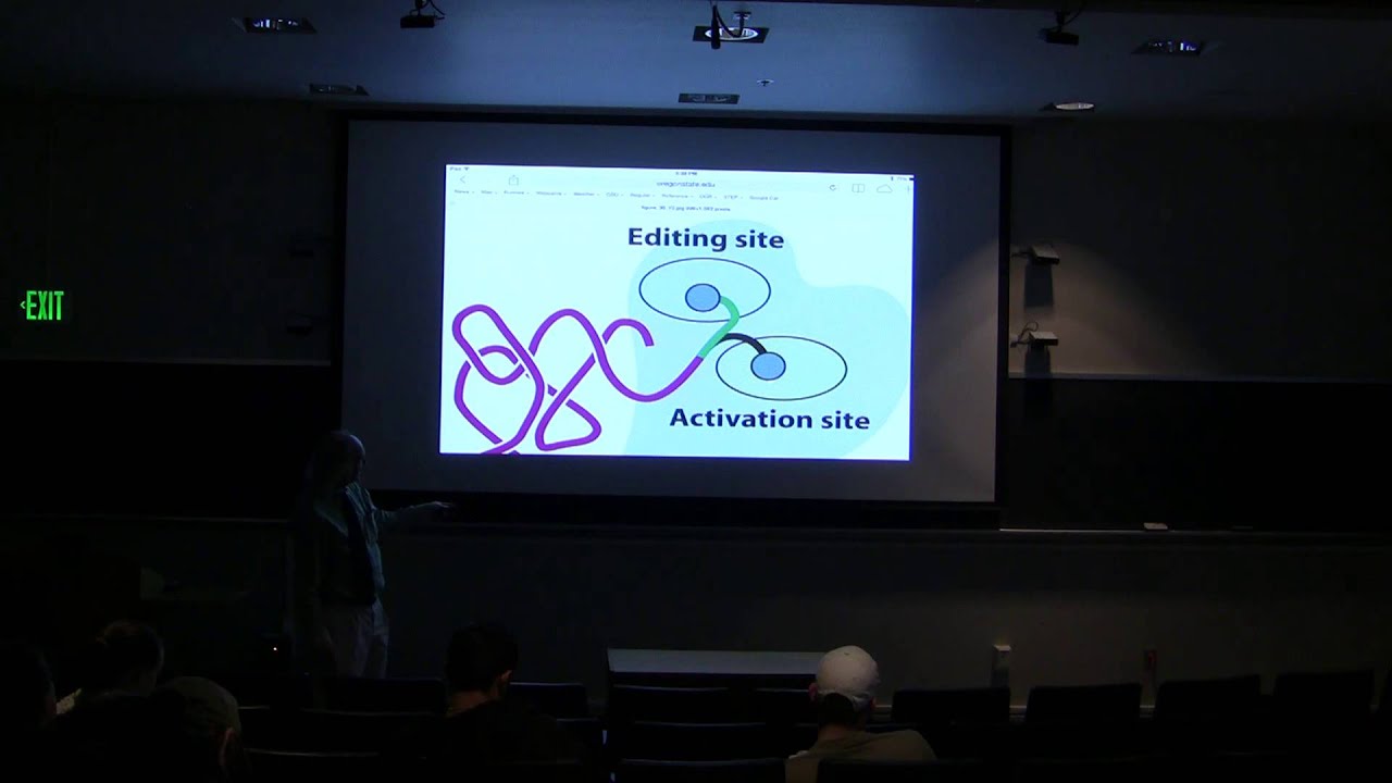 Kevin Ahern's Biochemistry - Review for Final Exam - YouTube