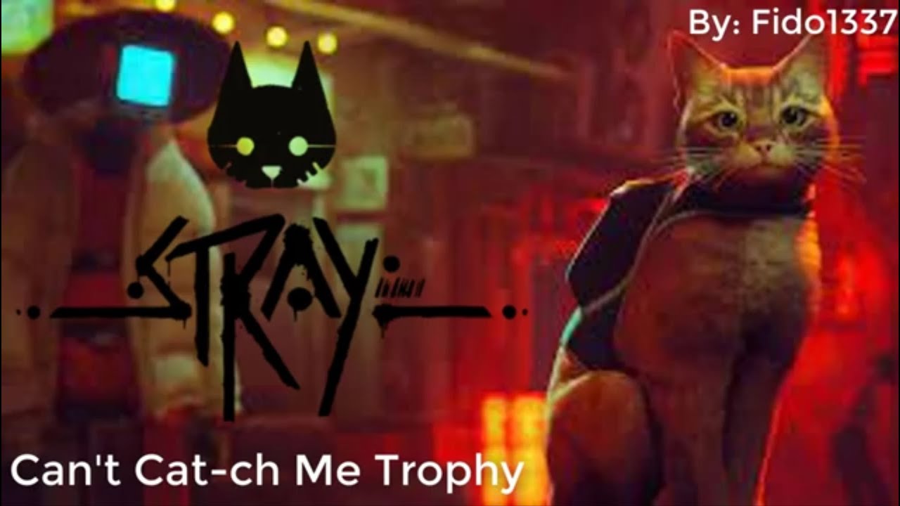 Stray Can't Cat-ch Me Trophy - YouTube