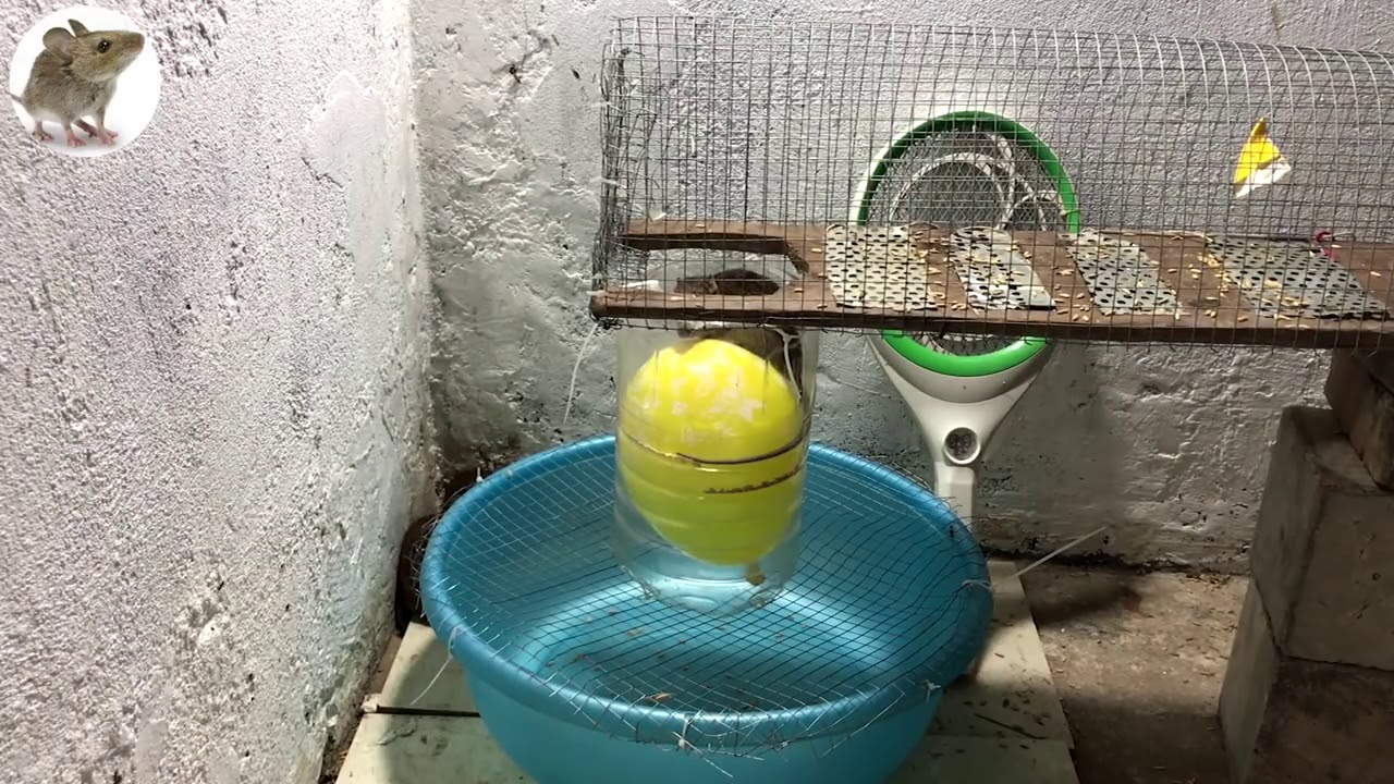 Electric Mouse Trap Best Mouse Trap Using Grille Pot Plastic Electric ...