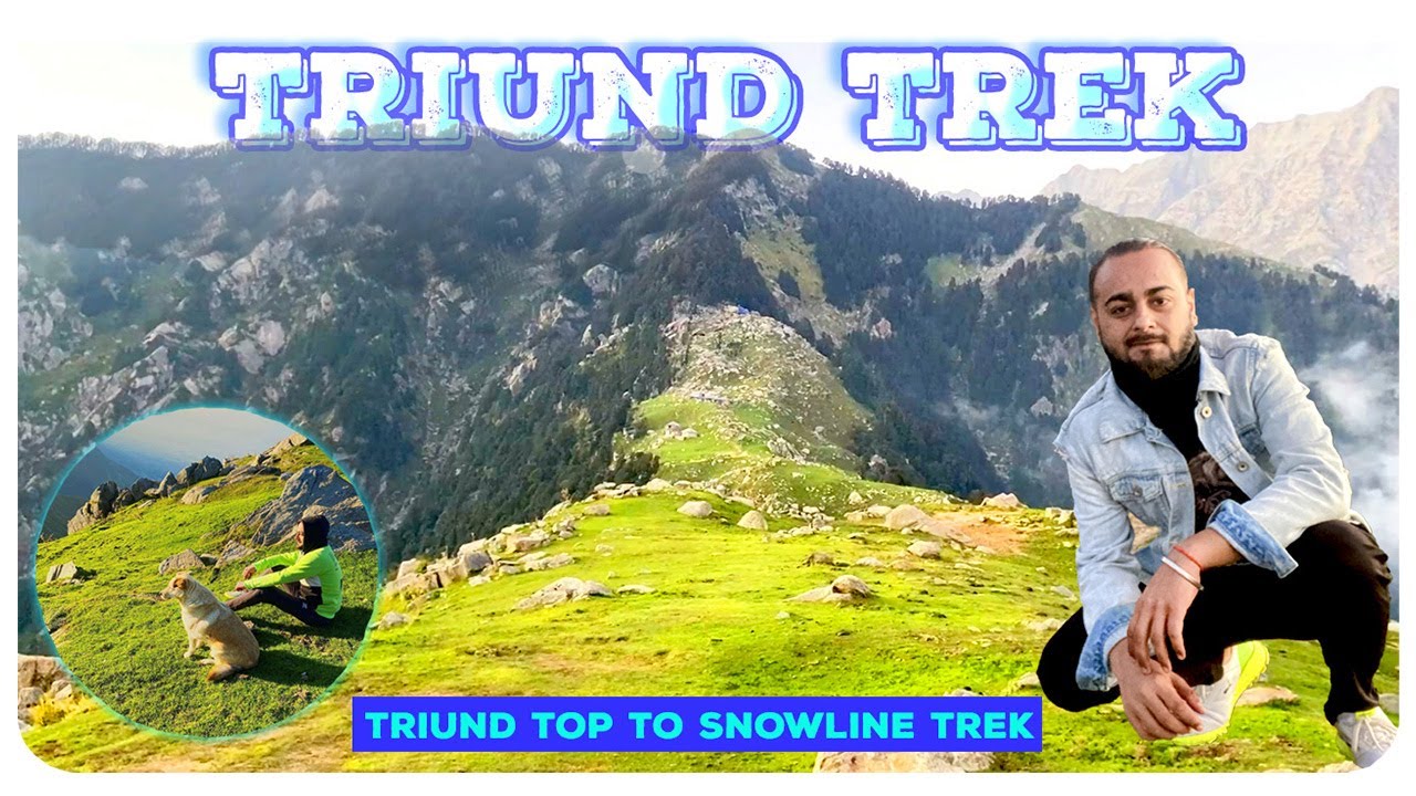 Triund Trek Mcleodganj Vlog | Triund Top To Snowline Trek - Step By ...